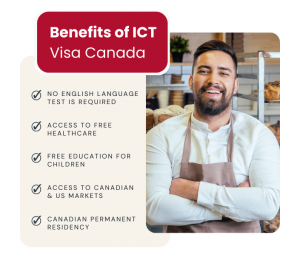 A Guide to Intra Company Transfer Canada | ICT Work Permit Visa